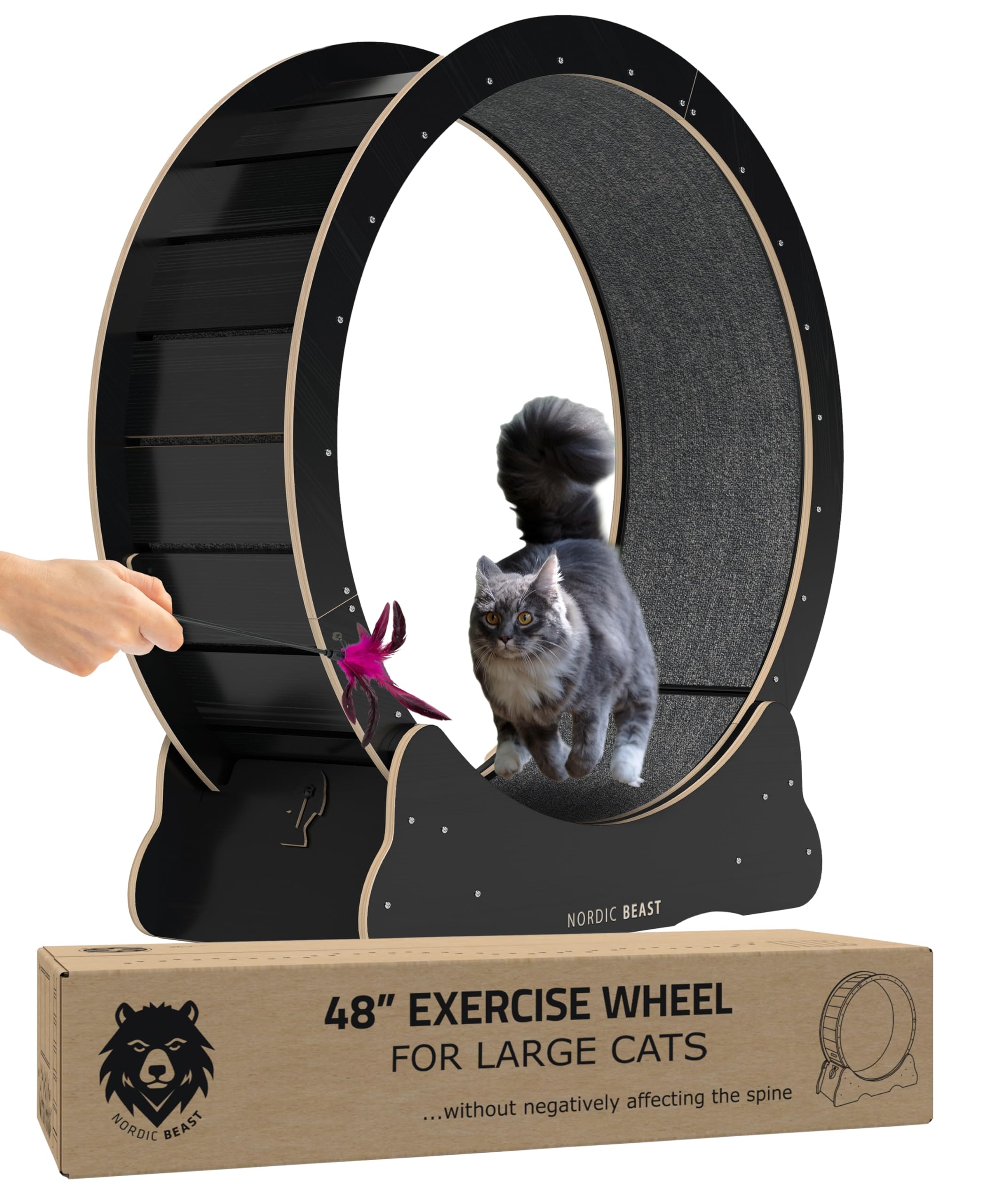48'' Large Cat Wheel β Size Which Doesn't Negatively Affect Cat's Spine β Nordic Beast, Cat Exercise Wheel Indoor, Cat Wheels for Indoor Cats, Cat Treadmill, Cat Running Wheel, Cat Wheel Exerciser