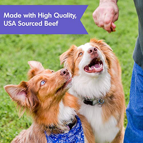 DOGSWELL 842190 Hip & Joint Beef Jerky Pet Food, 10 Oz (842190)
