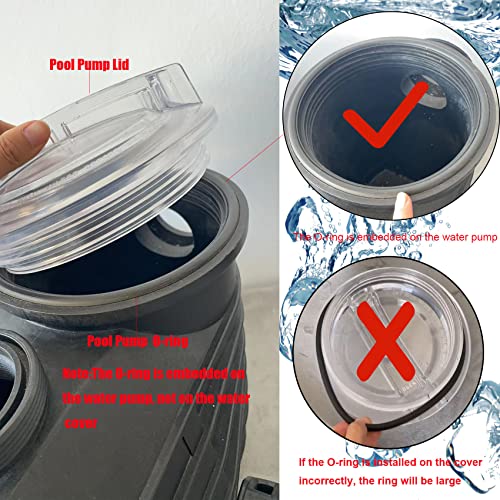ππππ ππ½ππππ
ππ
SPX3100D Pool Pump Lid for compatible with Hayward Super II Pump SP3000 Series Models SP3007(eeaz) SP3010 SPX3000S Strainer Cover O-ring Replacement Thread Strainer Cover