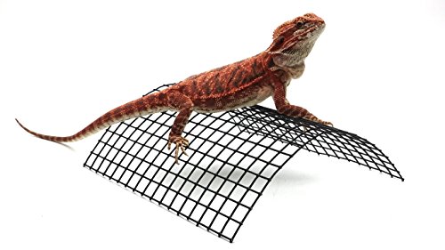 Carolina Custom Cages' Bearded Dragon Tanning Arch, Reptile Habitat Accessory