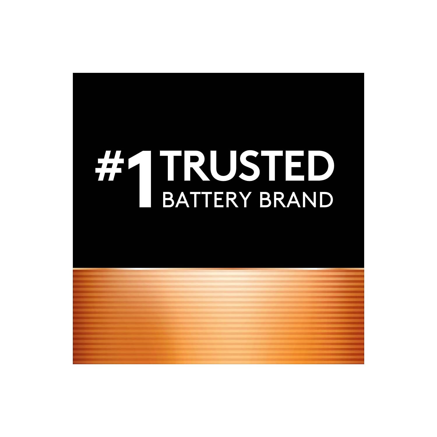 Duracell Coppertop D Alkaline Batteries, 12/Pack (MN1300)