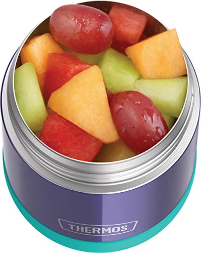 Thermos Stainless Steel Vacuum 10 Ounce handle, Purple Insulated Food Jar, 10oz (TS3050PU6)