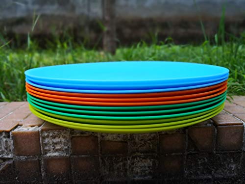 AOYITE Plastic Dinner Plates Reusable BPA Free Dishwasher Safe Microwaveable for Any Occasion, BBQ, Travel, and Events (Multicolor set of 12)