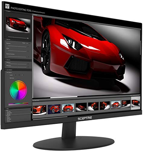 Sceptre E225W-19203R 22" Ultra Thin 75Hz 1080p LED Monitor 2X HDMI VGA Build-in Speakers & Logitech MK345 Wireless Combo – Full-Sized Keyboard with Palm Rest and Comfortable Right-Handed Mouse
