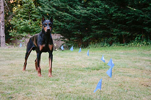Educator FLAGS-50 Boundary Flags for E-Fence Underground Fence Containment System for Dogs, (Set of 50)