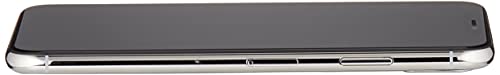 Apple iPhone XS Max, 64GB, Silver - Unlocked (Renewed Premium)