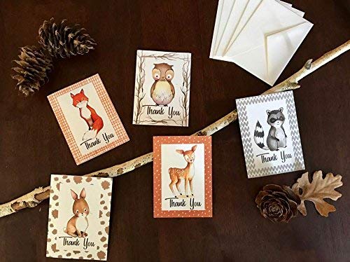 A Paper Smile Woodland Animal Thank You Cards Boxed Set 35 Note Cards