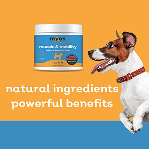 MYOS Canine Muscle & Mobility Chews β Natural Collagen & Glucosamine for Dogs - Bacon Flavor Joint Supplement for Muscle, Bone & Joint Support, 60 Count