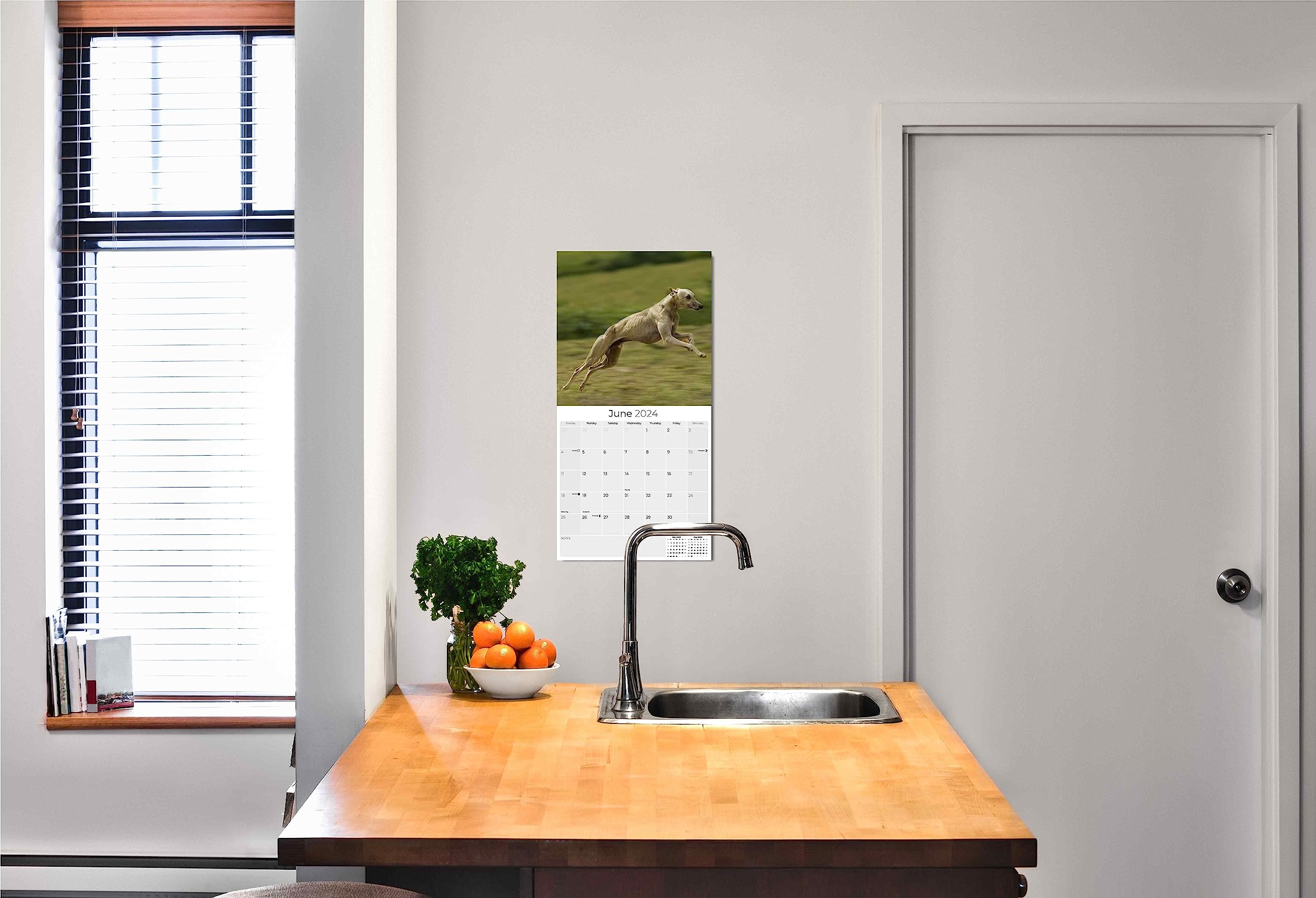 2023 2024 Whippet Calendar - Dog Breed Monthly Wall Calendar - 12 x 24 Open - Thick No-Bleed Paper - Giftable - Academic Teacher's Planner Calendar Organizing & Planning - Made in USA