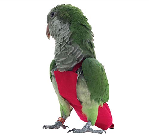 HEZHUO Parrot Diaper Bird Flight Suit, Bird Clothes, Waterproof Lining Pet Bird Supplies (L, Red)