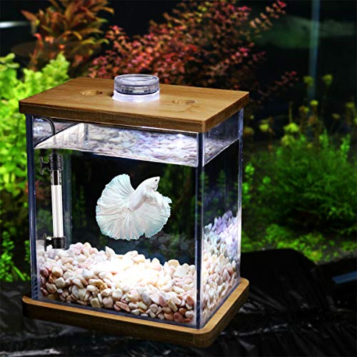 hygger 50W Mini Inline Quartz Glass Aquarium Heater with External Controller, Adjustable Submersible Betta Fish Tank Thermostat for 5-15 Gallon