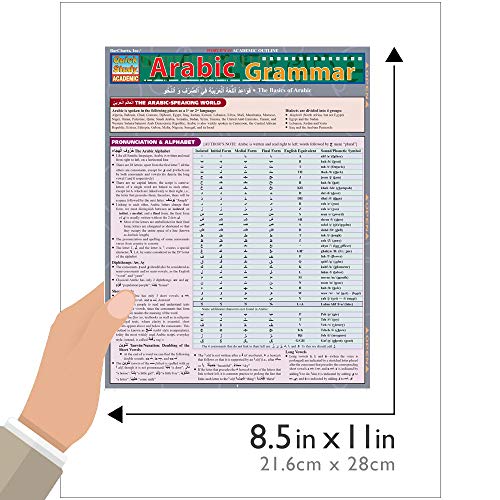 Arabic Grammar QuickStudy Laminated Reference Guide (QuickStudy Academic)