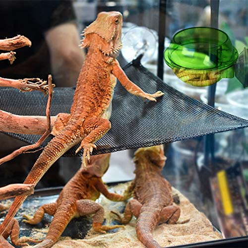 IAFVKAI Suction Cup Reptile Feeder 2PCS Reptile Food Water Feeding Bowl for Chameleon Tortoise Gecko Snakes Iguana Lizard