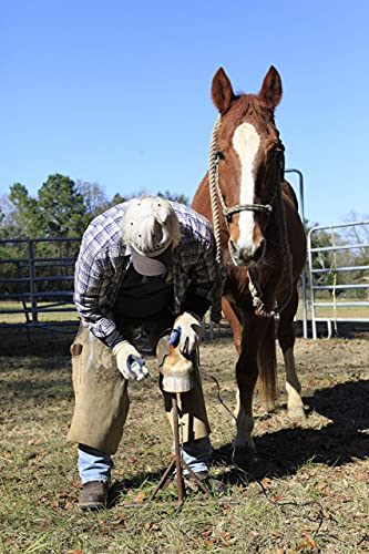 Complete Horse Hoof Trimmer Set – Electric Plug in - 110 Volt - Accessories Included