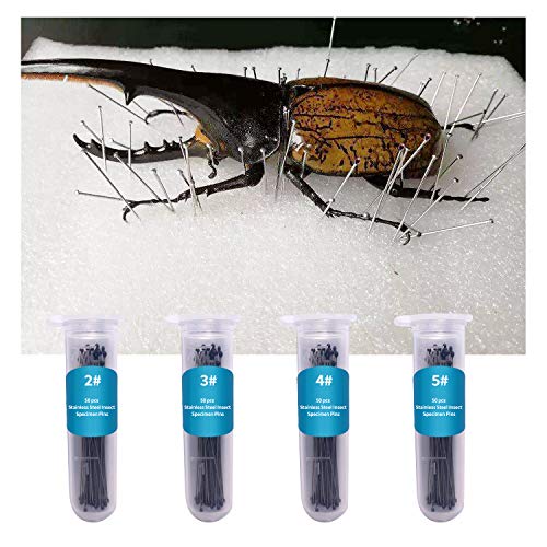 Fpxnb 350 Pcs Stainless Steel Insect Pins in 7 Sizes, Specimen Entomology Pins and Butterfly Collections Needle for School Lab Butterfly Collectors with Vials & Labels