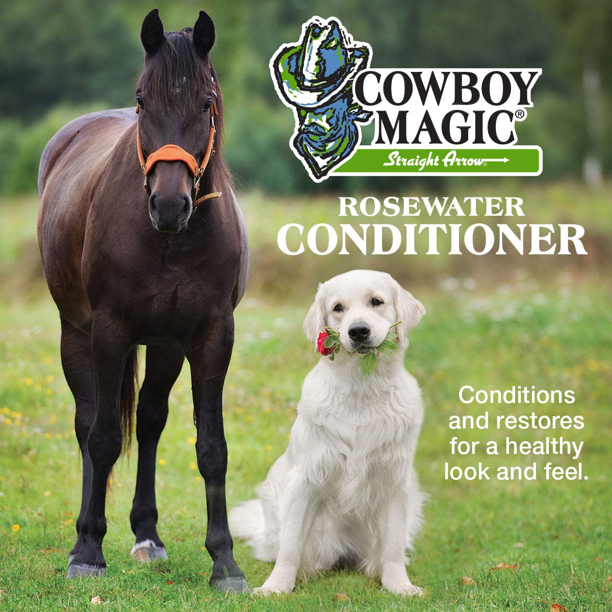 Cowboy Magic Show Ready LIMITED EDITION Box Set - 32 Oz Rosewater Shampoo, 32 Oz Conditioner, 4 Oz Greenspot Remover, 4 Oz Superbody Shine, and Bonus Gifts