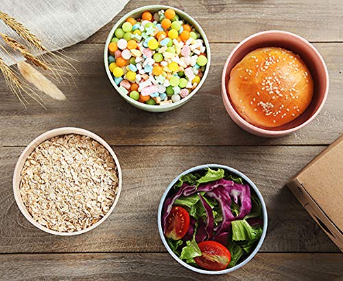 Nicunom 12 Pack Cereal Bowls, 15 OZ Unbreakable Wheat Straw Bowl Sets - Lightweight Noodle Soup Rice Salad Bowls Dishwasher Microwave Safe Bowl for Kids Children Toddler