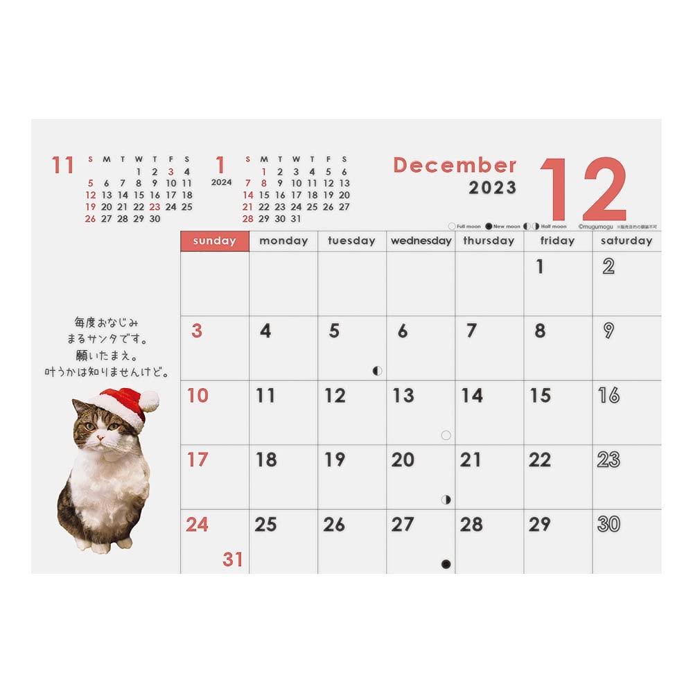 2023 Maru-chan Calendar (Tabletop) [Video Included] 1000123669, White