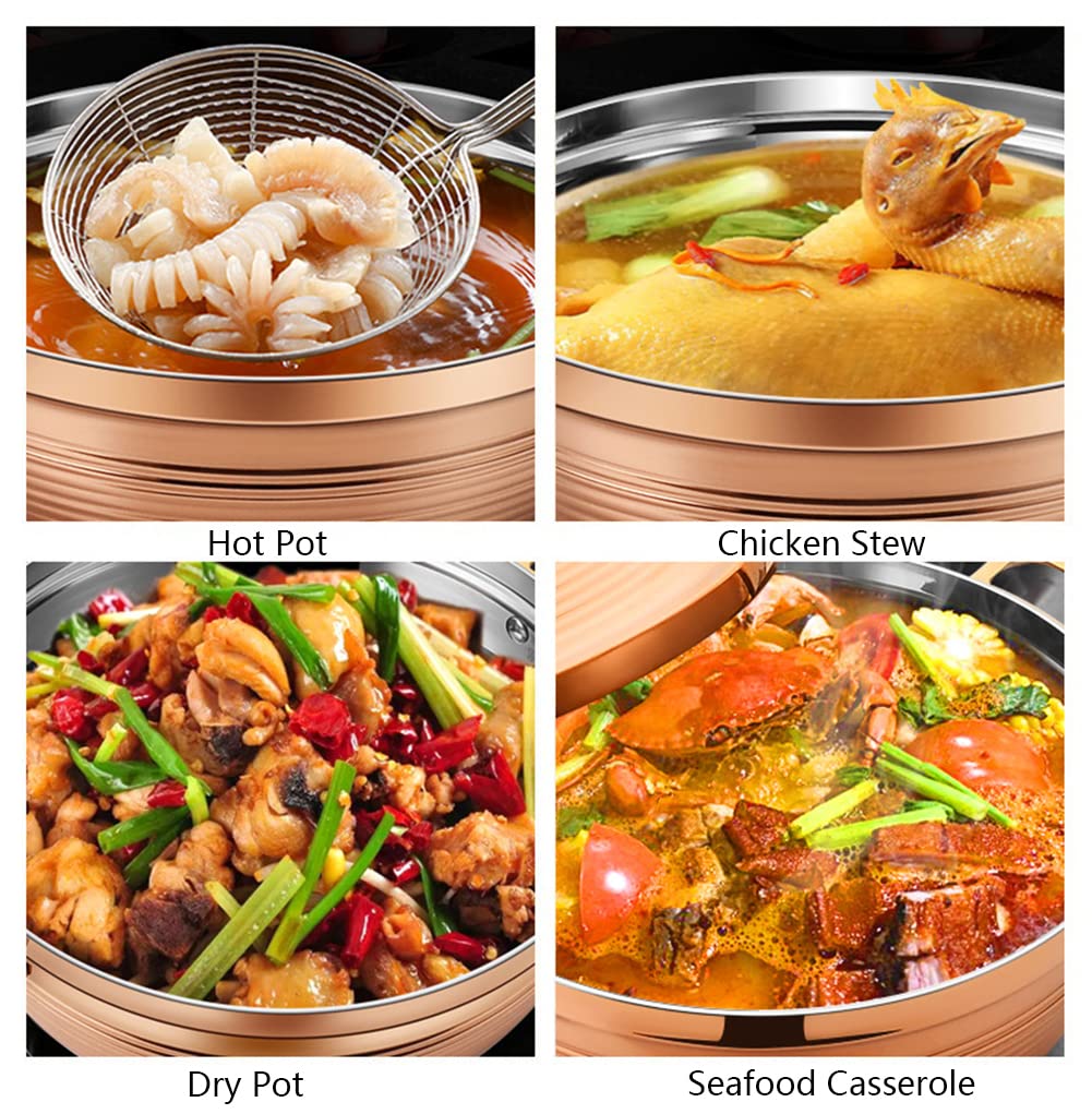 22cm Stainless Steel Tagine Pot Moroccan Tajine Cooking Cookware with Cone-Shaped Closed Lid for Stew Casserole Slow Cooker, 1-2 People Use