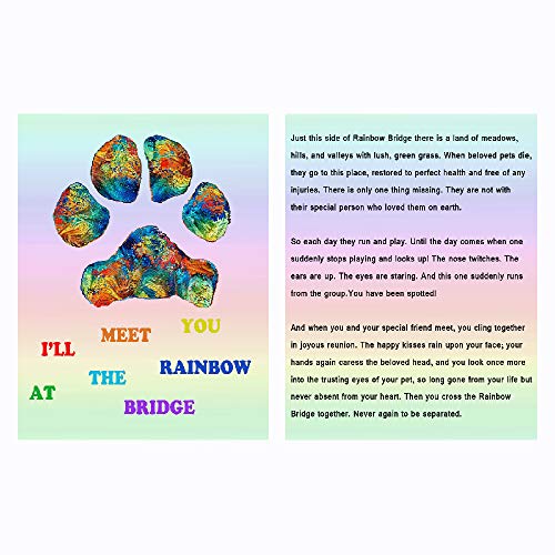 COZYMATE Rainbow Bridge Pet Memorial Gift Lava Bead Bracelet in Memory of Dogs Cats
