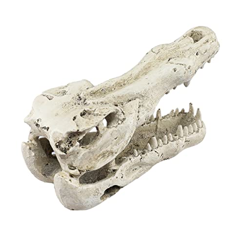 Alligator Reptile Amphibian Skull Habitat Hide – Premium Non-Toxic Resin for Aquariums & Terrariums – Large Size