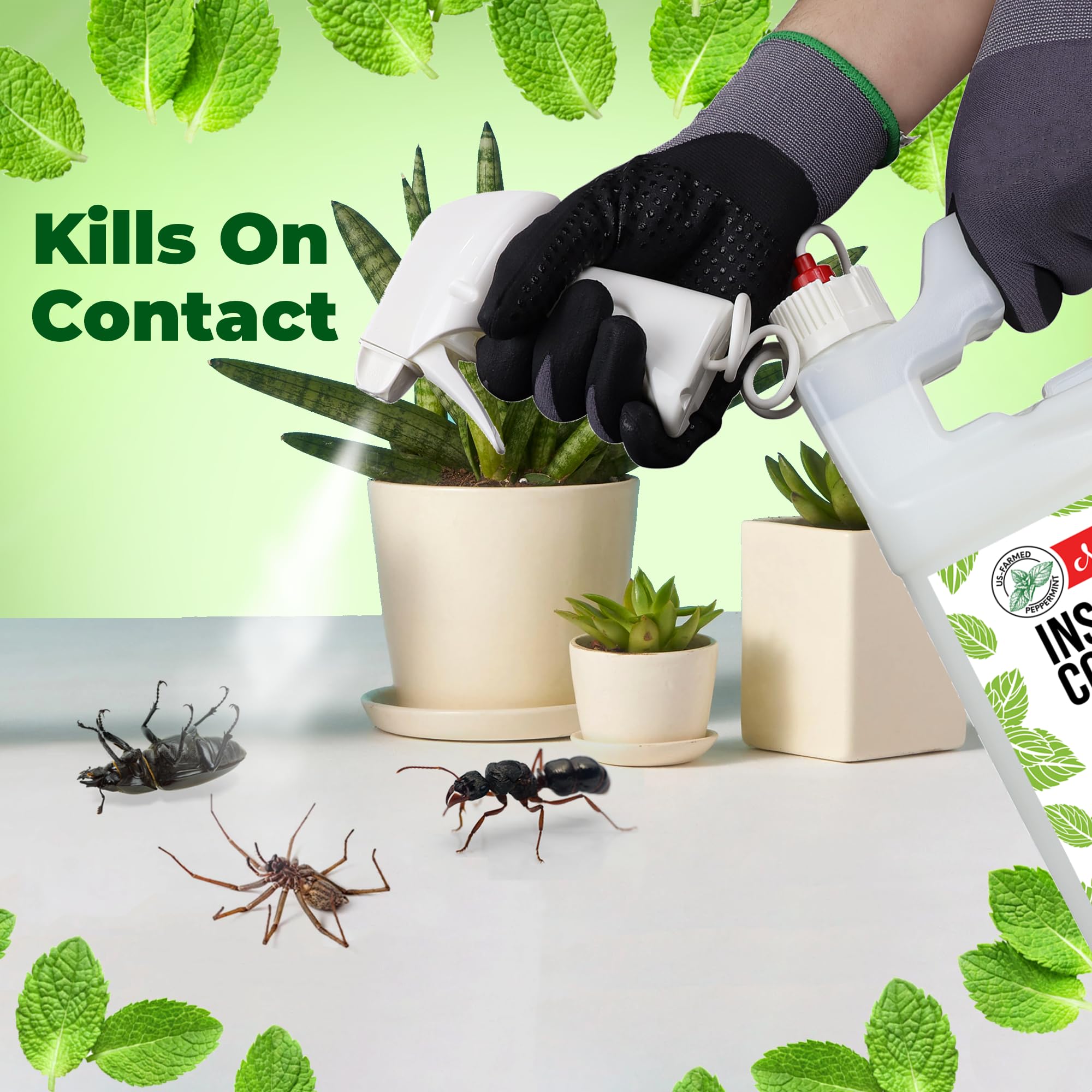 Mighty Mint Insect & Pest Control Plus β Natural Mint Oil Insect Killer Spray, 1 Gallon