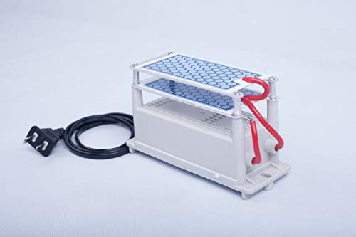 Ozone Generator air purifier 10000 mg/h Equal to 10g/h ozone plates ozone maker machine 110V