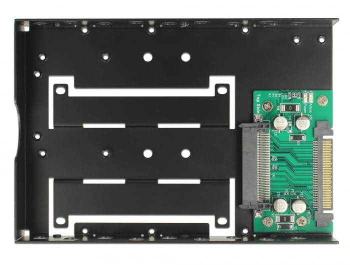 DeLOCK Converter U.2 SFF-8639 to U.2 SFF-8639 Mounting Frame with 3.5 Inch Frame
