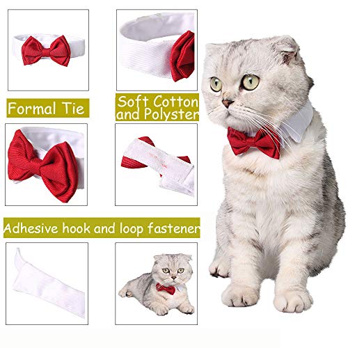 Bolbove Adjustable Formal Pet Bowtie Collar Neck Tie for Dogs & Cats (Small, Red)