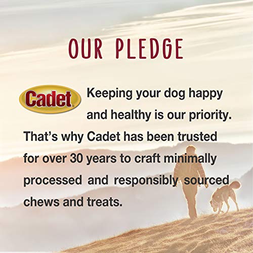 Cadet Gourmet Chicken Wrapped Biscuit Dog Treats 14 oz.