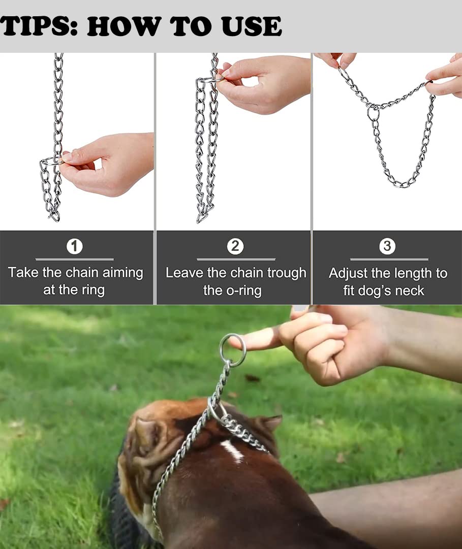Dog Choke Collar Slip P Chain - Heavy Chain Dog Titan Training Choke Collars - Adjustable Stainless Steel Chain Dog Collars Covered with Galvanic Plating - for Small Medium Large Dogs