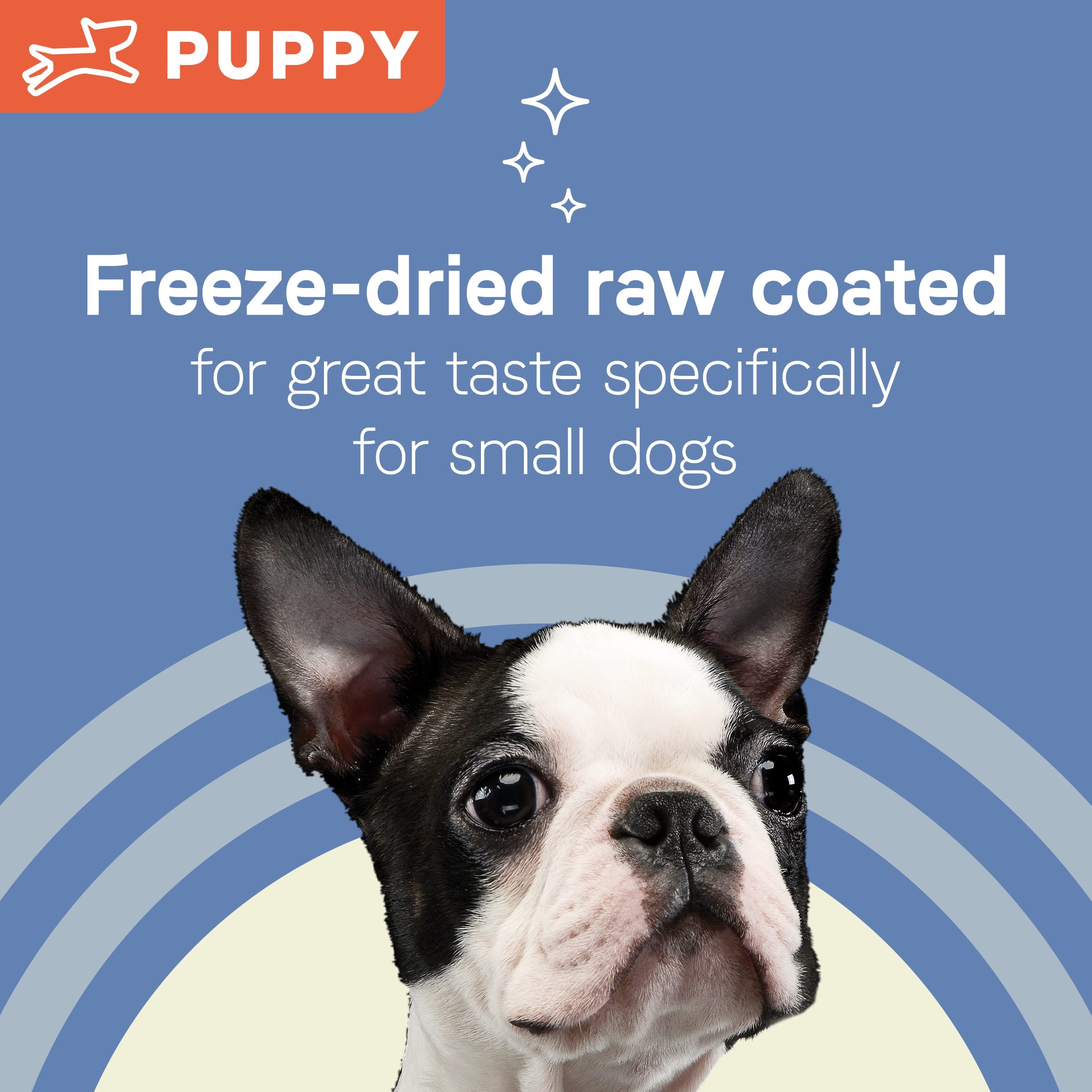 Canidae Pure Petite Premium Freeze-Dried Raw Coated Puppy Food for Small Breeds, Real Salmon Recipe, 10 lbs, Grain Free