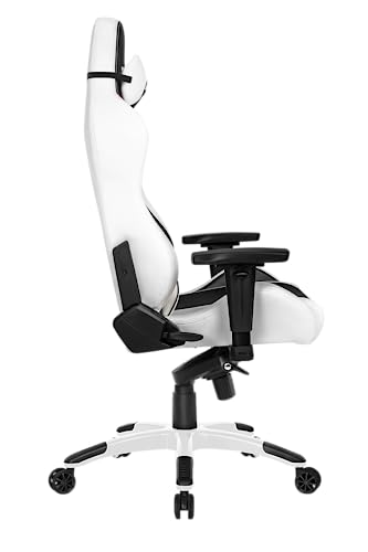 AKRacing Masters Series Premium Gaming Chair with High Backrest, Recliner, Swivel, Tilt, Rocker and Seat Height Adjustment Mechanisms with 5/10 Warranty