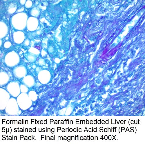 Periodic Acid Schiff (PAS) Stain Pack, 500ml