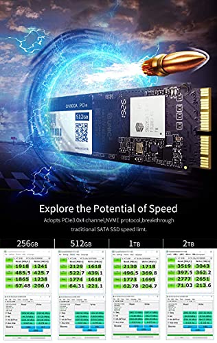 OSCOO ON900A MAC SSD Compatible for MacBook Air