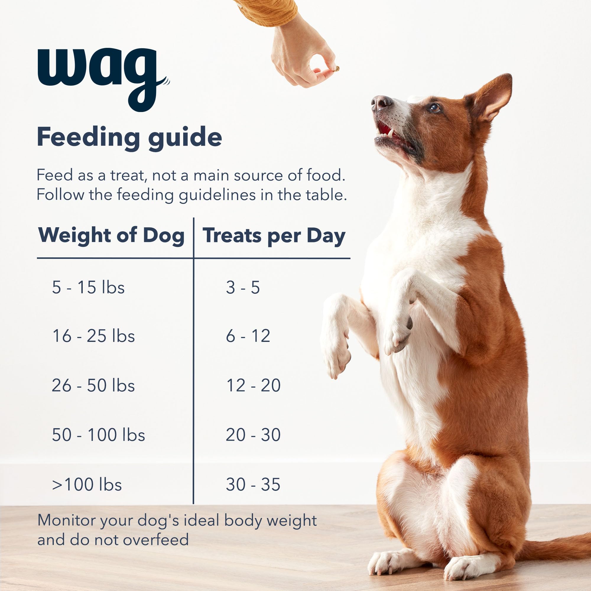 Amazon Brand β Wag Chicken Flavor Hip & Joint Training Treats for Dogs, 1 lb. Bag (16 oz)