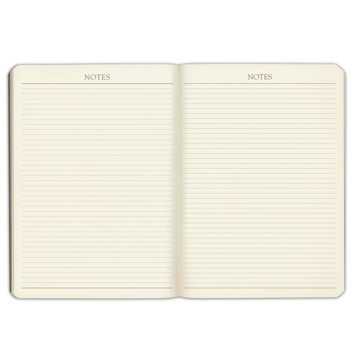2024 Gallery Leather Desk Monthly Planner - Acadia Pool - 8x5.5"