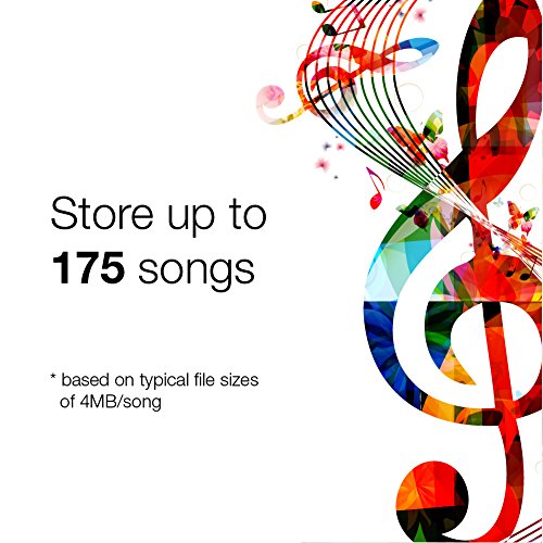 CD-R 700MB 52X Shiny Silver Silk Screen Printable, Hub Printable - 100pk Spindle