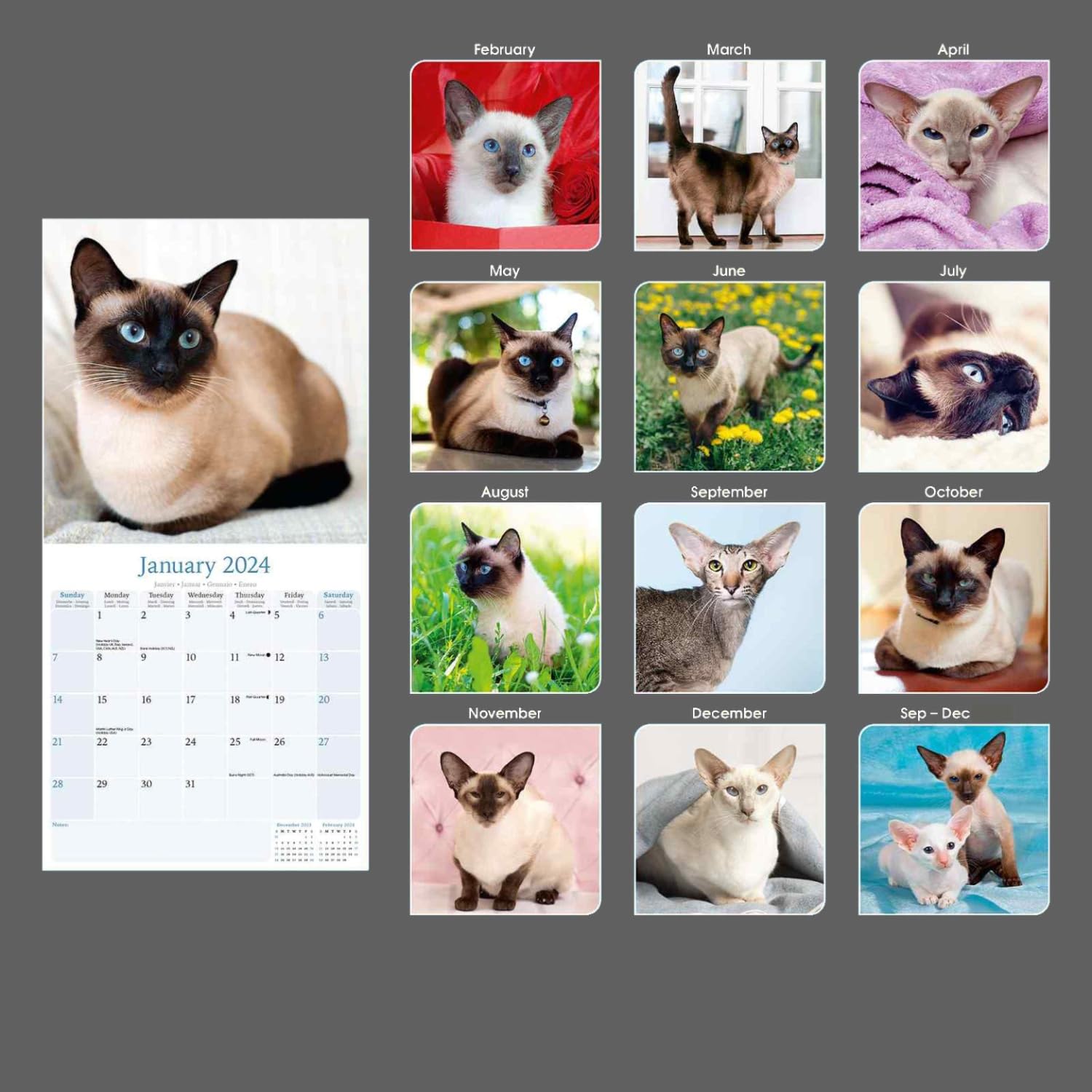 2023 2024 Siamese Cats Calendar - Cute Animal Monthly Wall Calendar - 12 x 24 Open - Thick No-Bleed Paper - Giftable - Academic Teacher's Planner Calendar Organizing & Planning