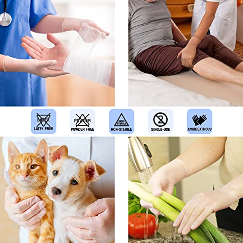 Safe Health Vinyl Exam Disposable Gloves, Free of Latex & Powder, Clear, 3.5 Mil, Medical Grade (1, Medium)