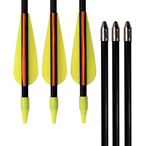 28'' Fiberglass Arrows Archery Target Arrow Practice Shooting Practice Target for Professional Youth Archery Recurve Bow Shooter(Pack of 12)