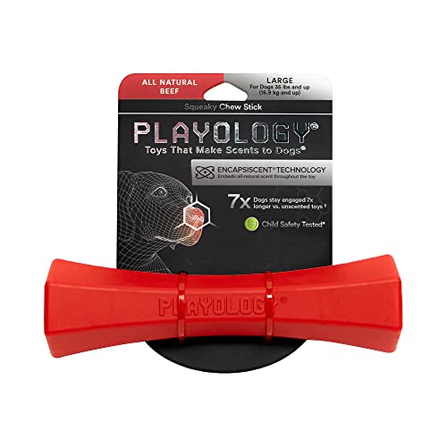 Playology Squeaky Chew Stick Dog Toy, for Large Dogs (35lbs and Up) - for Moderate Chewers - Engaging All-Natural Beef Scented Toy - Non-Toxic Materials
