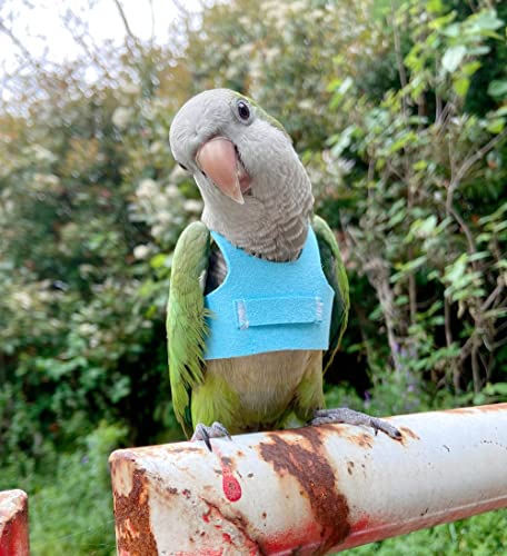 Bird Flight Harness Vest, Parrot Flight Suit with Leash for Parakeets Cockatiels Conures Budgies, Bird Flying Clothes with Rope and Handle for Outdoor Activities Training, Anti Bite (M, Blue)