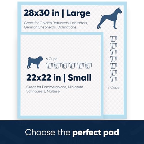 American Kennel Club Scented Puppy Training Pads with Ultra Absorbent Quick Dry Gel โ 22 x 22 Pee Pads for Dogs - Fresh Scented - Pack of 100