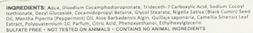 Amazing Herbs Black Seed Herbal Shampoo, 8 Fluid Ounce