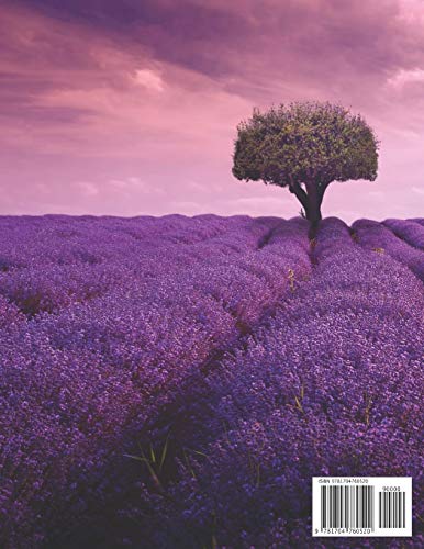 2020 - 2014: Calendar 60 Months / 5 Year Planner / Diary (January 2020 – December 2024), a month on 2 pages + notes / LAVENDAR FIELD FRANCE