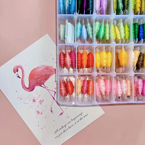Friendship Bracelet String Kit - 276pcs Embroidery Floss and Accessories - Labeled with Thread Numbers for Cross Stitch Supplies, Embroidery, Cool String Art- Style for Teen or Girls