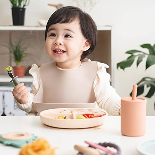 RAiN.B. MellowMate Pure Platinum Silicone Suction Plate for Baby & Toddlers|Divided Baby Dish with 3 Compartments|BPA-Free Non-Slip Baby Eating Supplies|Microwave & Dishwasher Safe – Cloudy Grey
