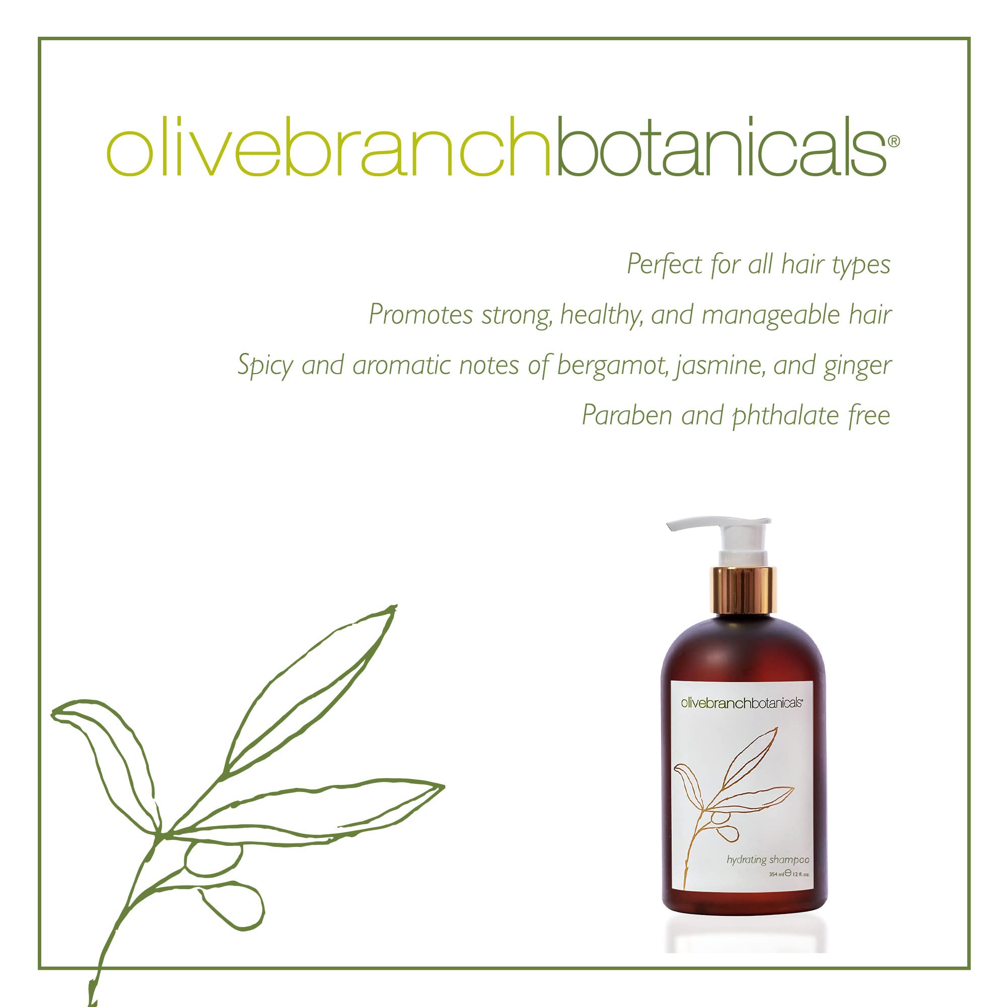 Gilchrist & Soames Olive Branch Shampoo - 12oz - All Hair Types, Zero Parabens, Sulfates, and Phthalates