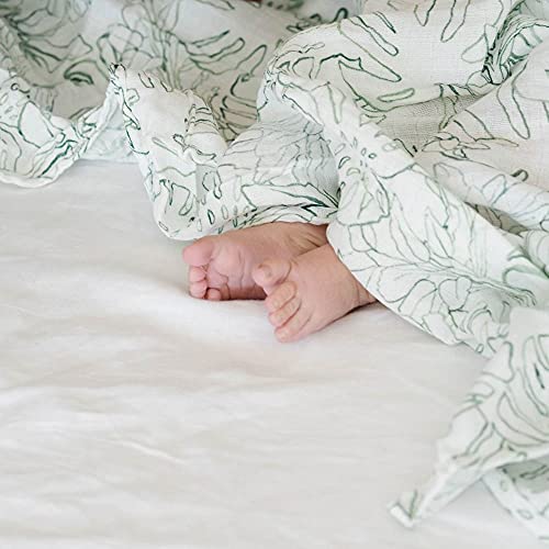Red Rover Kids Cotton Muslin Swaddle - 47” x 47”- 100% Cotton – Machine Washable – Softer with Every Wash – Playful Designs - Soft, Breathable & Lightweight – Unisex - 3 Pack (Dino Days)